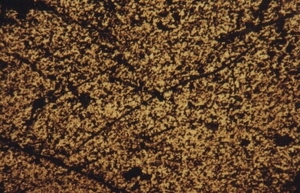 Wall Chart of Gold Deposit Types - Geologynet