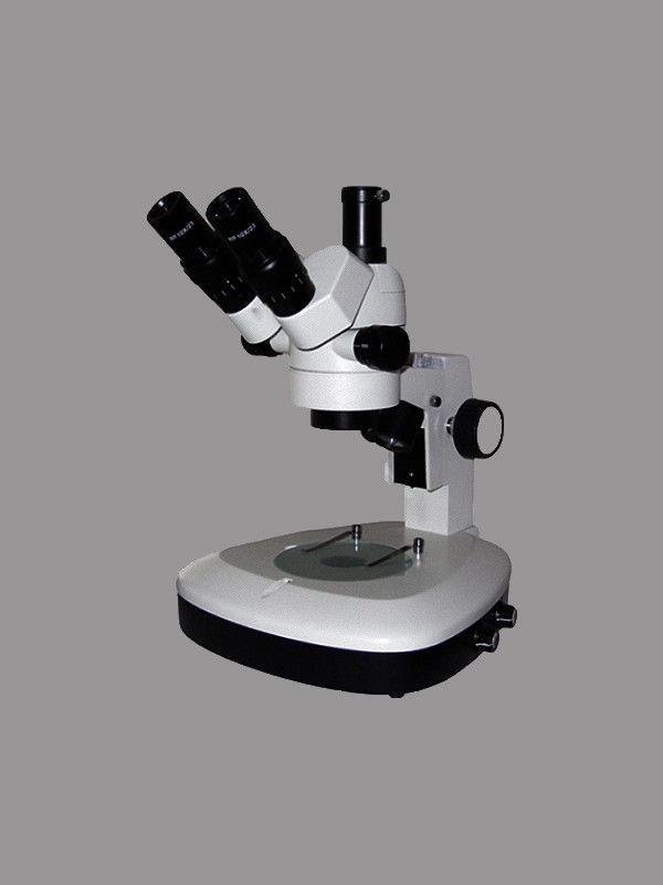 Stereo Microscope - Geologynet