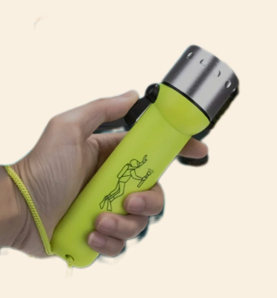 Waterproof Torch - Geologynet